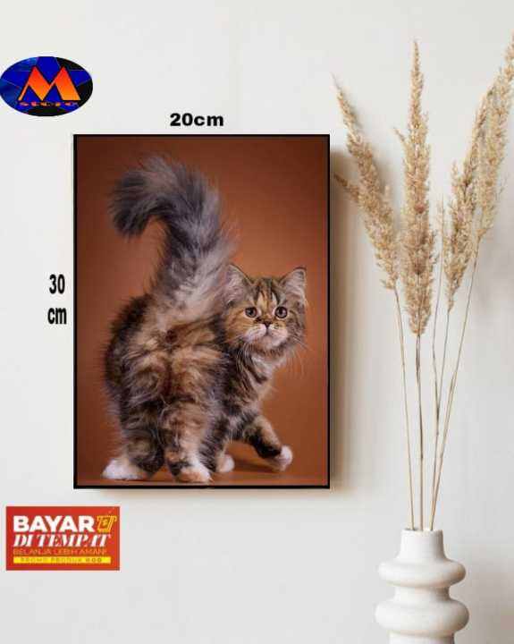 HIASAN DINDING TEMA KUCING/POSTER KAYU KUCING/KUCING ANGORA/KUCING ...