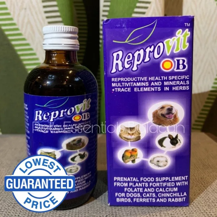 Reprovit OB 120 mL Reproductive Health Specific Multivitamins and ...