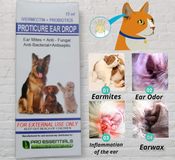 Proticure Anti Ear Mites and Anti Fungal - Ear Drops for Dog & Cat 15ml ... Proticure Anti Ear Mites and Anti Fungal - Ear Drops for Dog & Cat 15ml ...