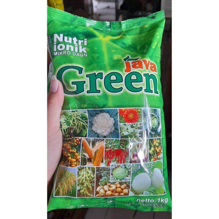Pupuk Mikro Daun JAVA GREEN 1kg Pupuk Nutrisi untuk tanaman hijau ...