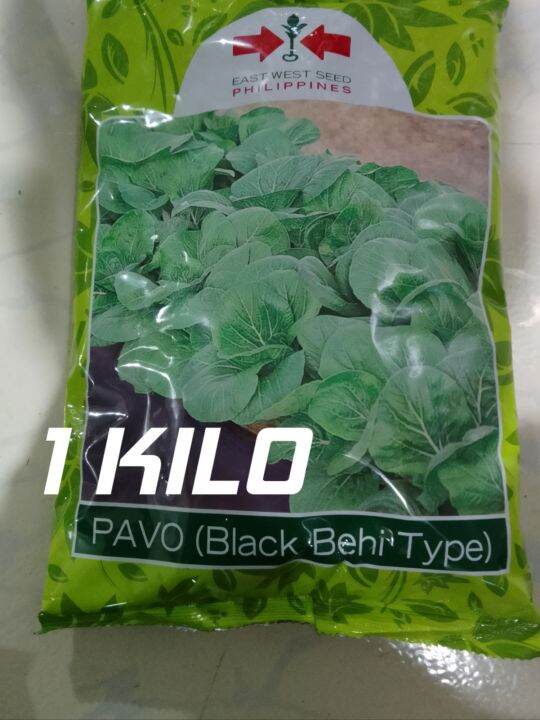 PAVO BLACK BEHI TYPE PECHAY SEEDS(KILO) BY EAST WEST | Lazada PH