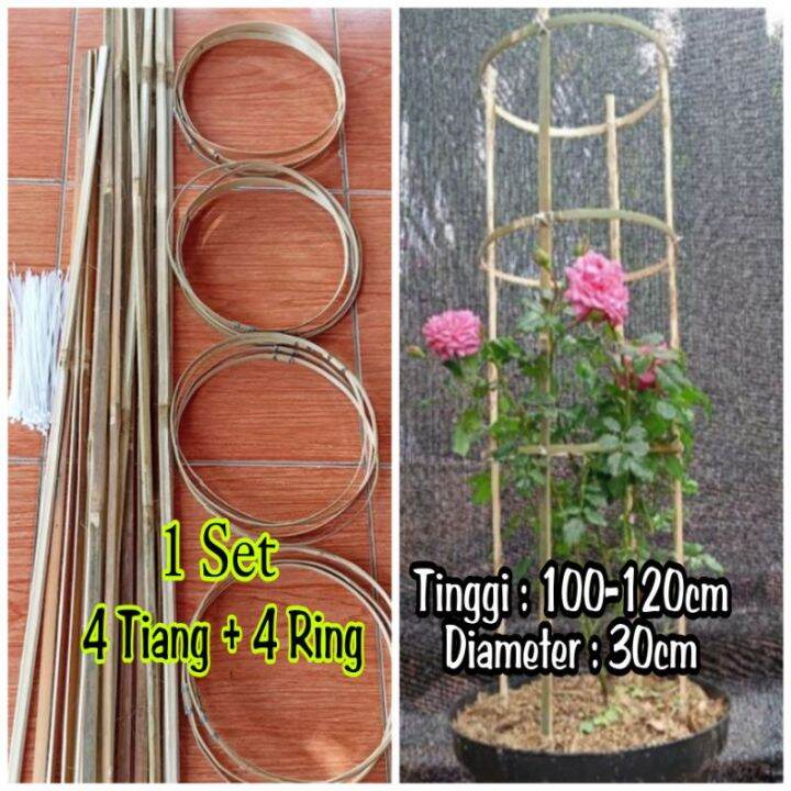 Turus Bambu Melingkar/Ajir Tanaman/Turus Penyangga Tanaman/Round Obelsk ...