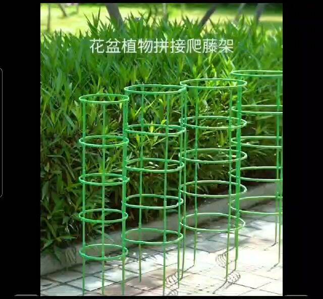 tokomumer TIANG TANAMAN turus bambu melingkar ajit tanaman turus ...