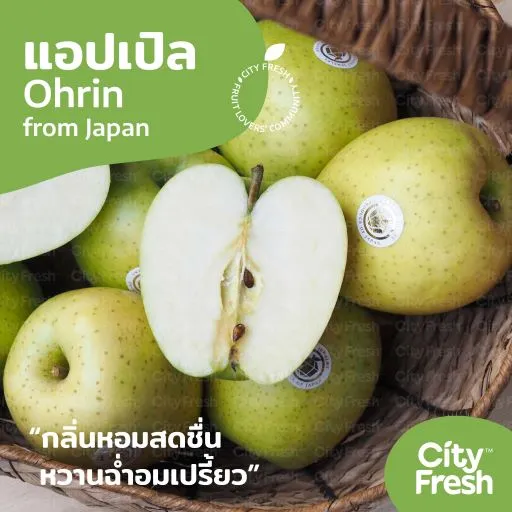 CityFresh แอปเปิล Ohrin #28 l ผลไม้นำเข้า | Lazada.co.th
