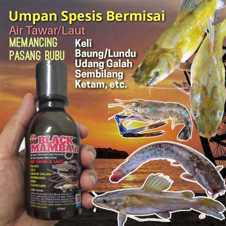 Umpan Keli Baung Udang Galah dan spesis ikan bermisai. | Lazada