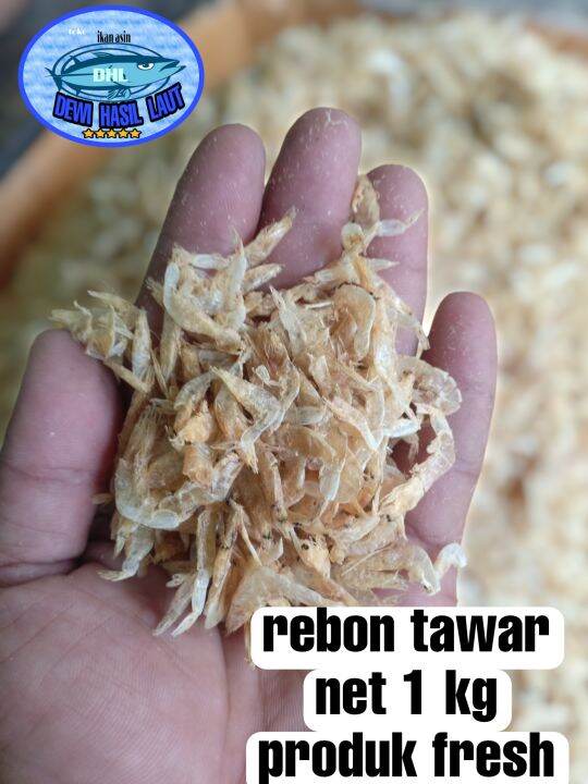 ikan asin rebon tawar kopong 1 kg | Lazada Indonesia