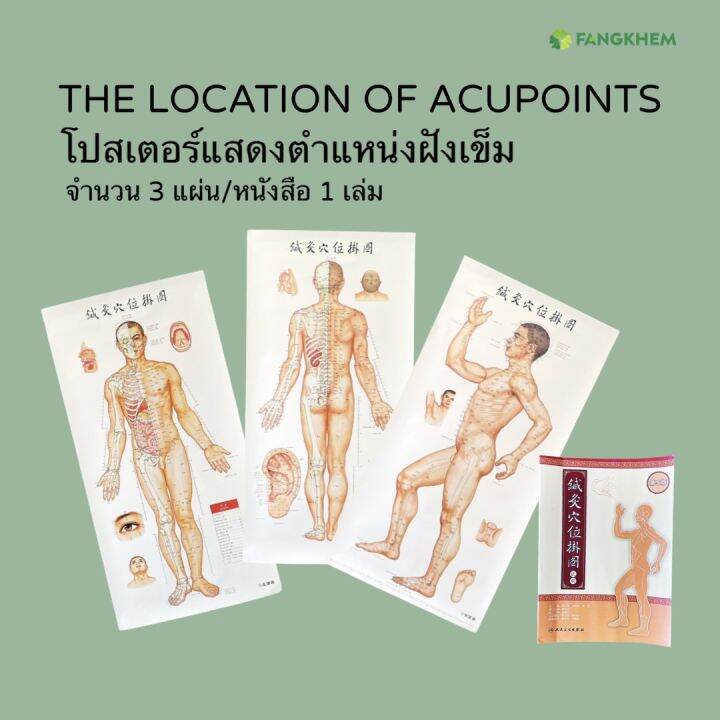 โปสเตอร์แสดงตำแหน่งฝังเข็ม จำนวน 3 แผ่น/หนังสือ 1 เล่ม The location of ...