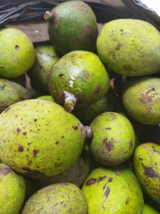 Buah putik bacang segar 1KG | Lazada Indonesia