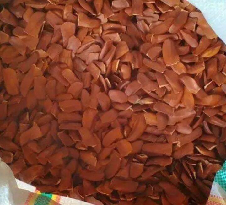 biji mahoni 1 kg | buah mahoni | Lazada Indonesia
