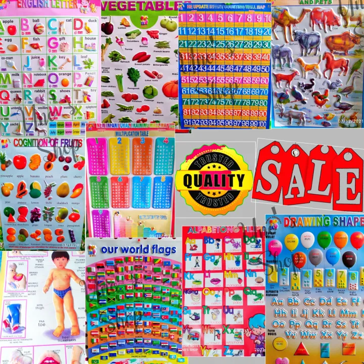 10pcs. EDUCATIONAL wall chart embossed 16x22 inches | Lazada PH