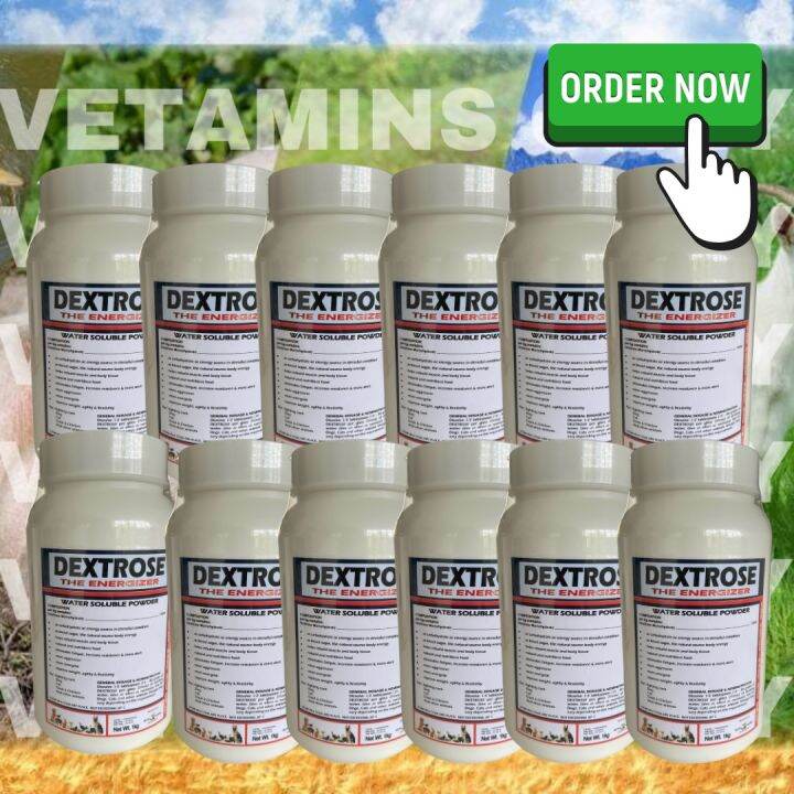1 BOX BY 12 PCS DEXTROSE WSP IN CANISTER FOR ANIMALS | 12 KG | VETAMINS ...