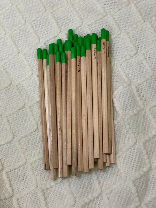 Plantable Pencil Souvenir Pencil Only Lazada Ph
