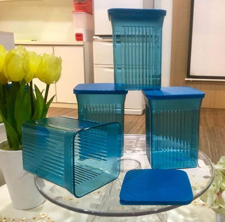 Tupperware Family Mate/Balang/Bekas Kuih raya 800ml (1 pc) | Lazada