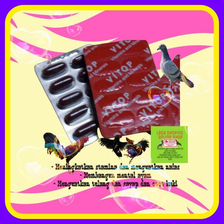 VITOP 10 BUTIR vitamin obat ayam tarung multivitamin tenaga nafas kuat ...