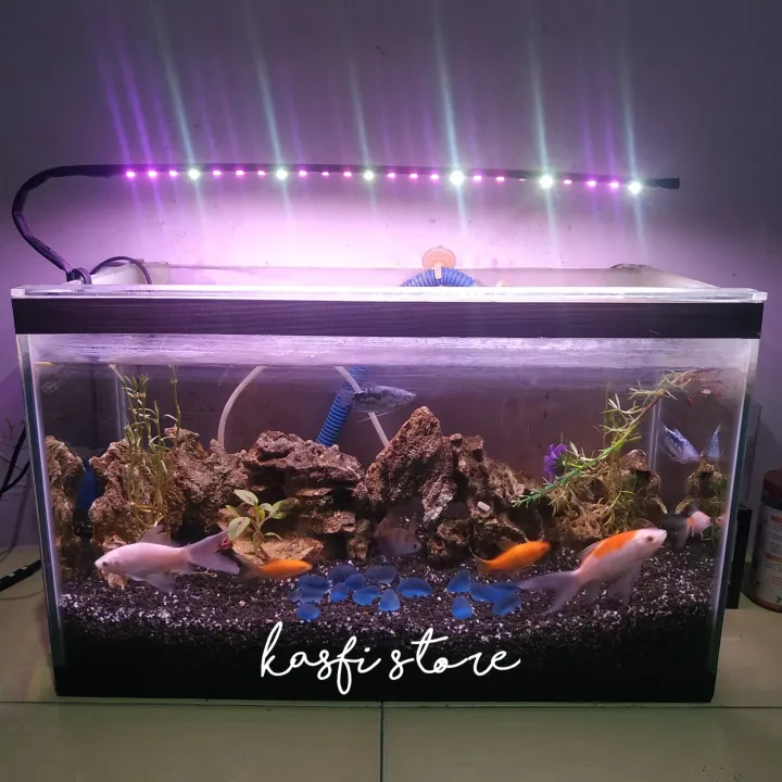 Lampu aquarium 45cm 24 mata LED smd Pink putih 5 Volt lampu aquascape ...