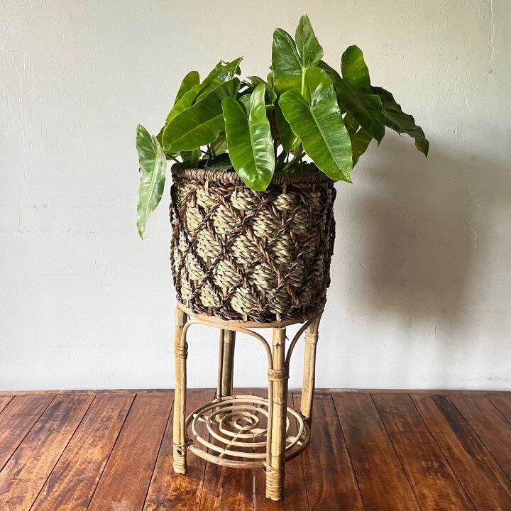 Rattan Planter Medium only | Lazada PH