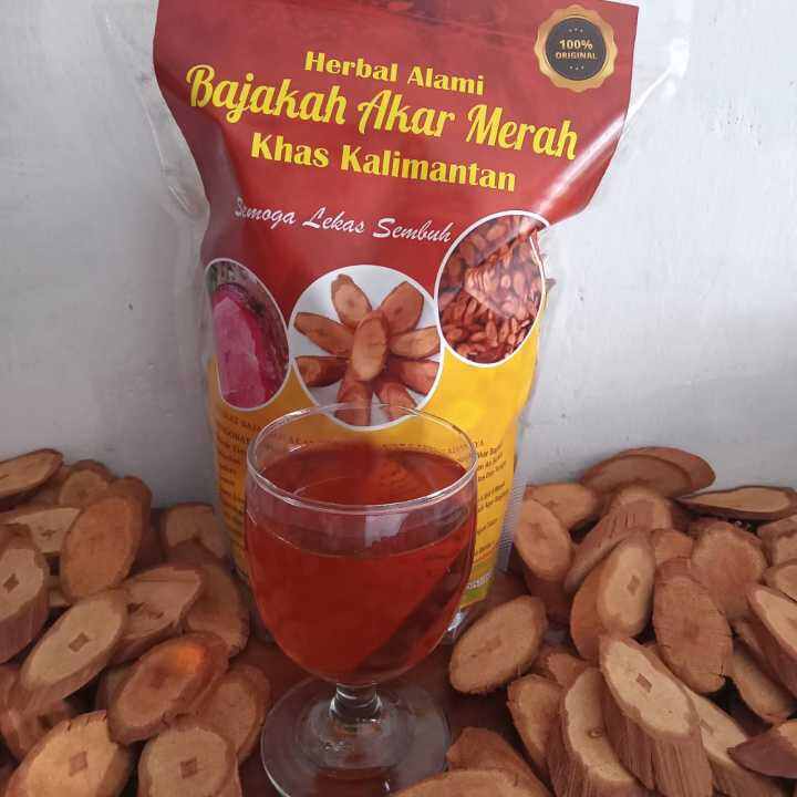Bajakah Akar Merah Original 500gram Asli Kalimantan | Lazada Indonesia