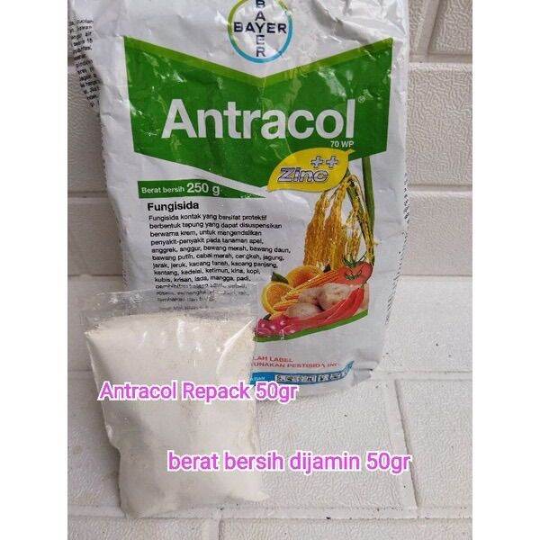 Antracol ASLI 100% repack 50gram. Fungisida Antracol 70 WP kemasan ...