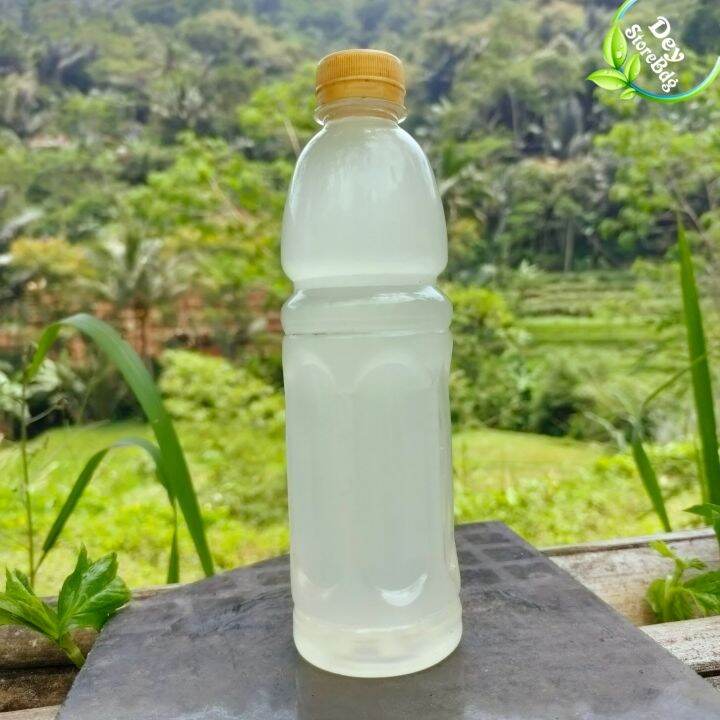 Air Nira Aren per 1 botol | Lazada Indonesia