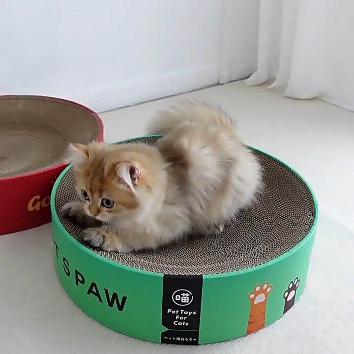 Ready Stock 🇲🇾🐱Bowl Shape Cat Scratcher Scratching Board Cat Scratches ...