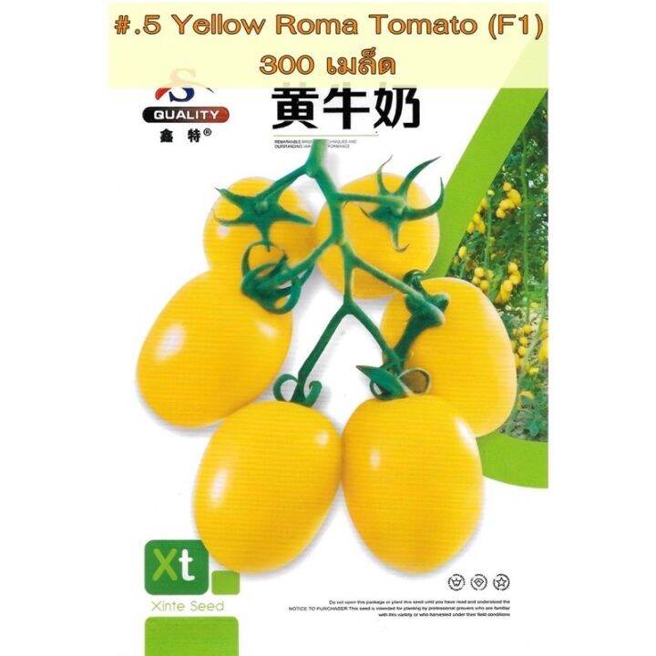 เมล็ด มะเขือเทศ เชอรรี่เหลือง *** Yellow Roma Tomato สายพันธุ์ F1 จำนวน ...