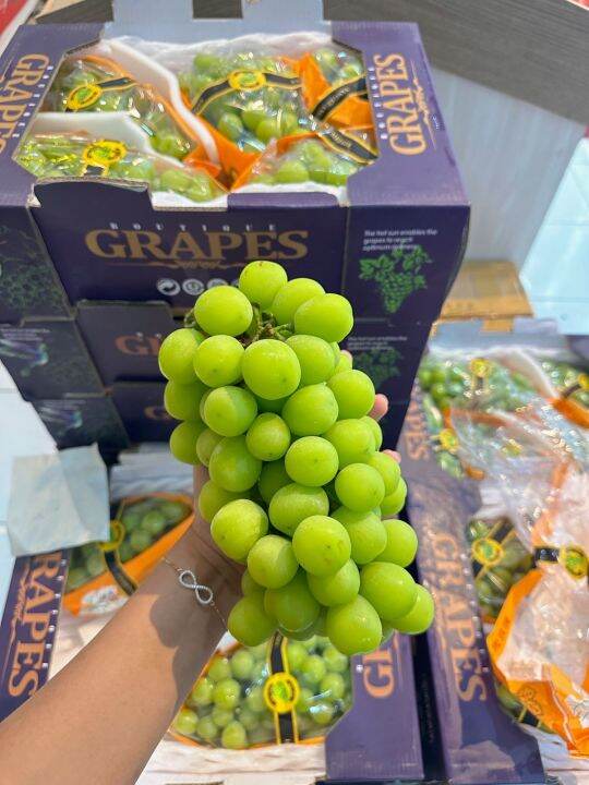 buah anggur shine muscat grade A 1kg | Lazada Indonesia