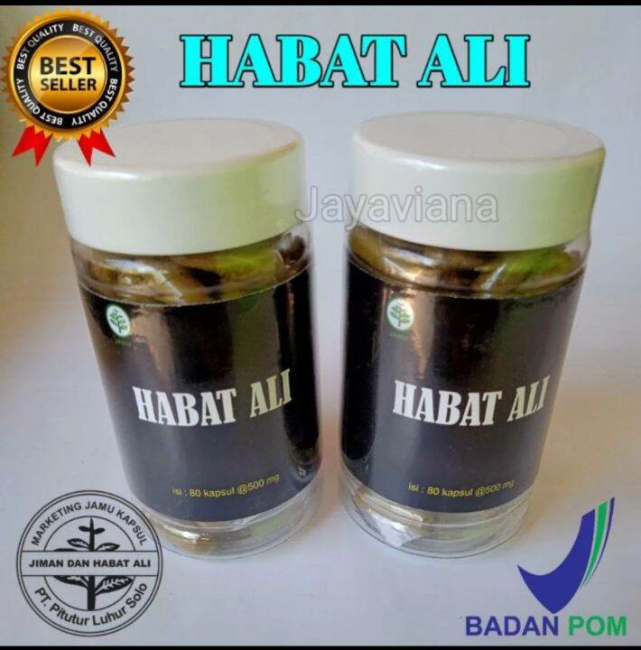 HABAT ALI KAPSUL HERBAL ORIGINAL ASLI | Lazada Indonesia