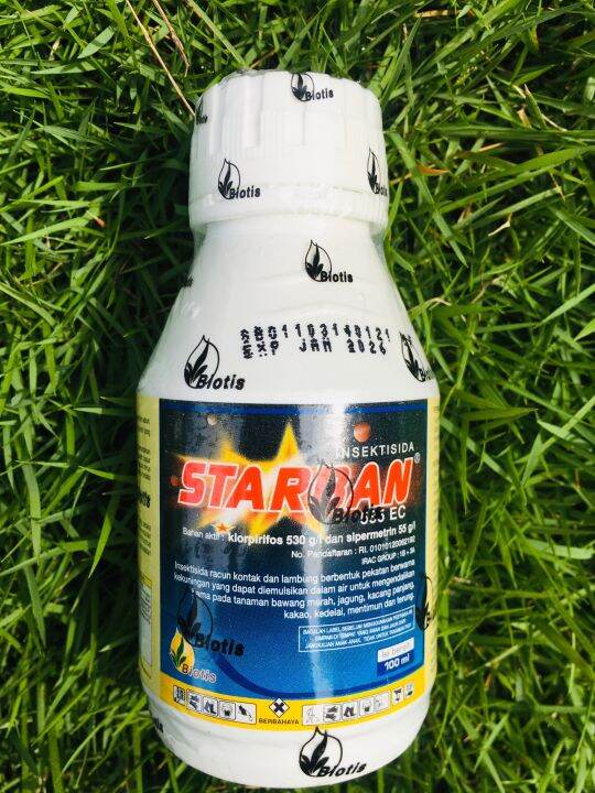STAR BAN 585 EC | 100 ml | Insektisida | Lazada Indonesia