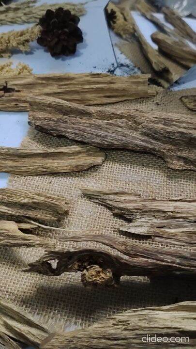 KAYU GAHARU MALINAU AB SUPER TABII OUD AGARWOOD ORIGINAL KALIMANTAN ...