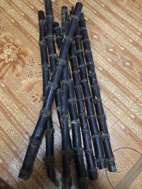 Tebu hitam / tebu selasih / tebu ubat untuk dimakan atau dibuat air ...