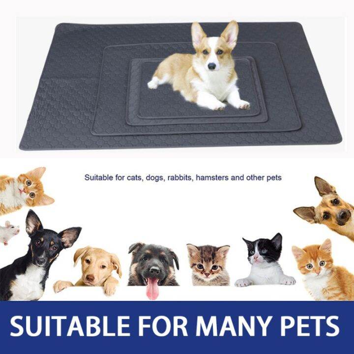 Washable Pet Dog Diaper Mat Waterproof Reusable Training Pad Urine ...