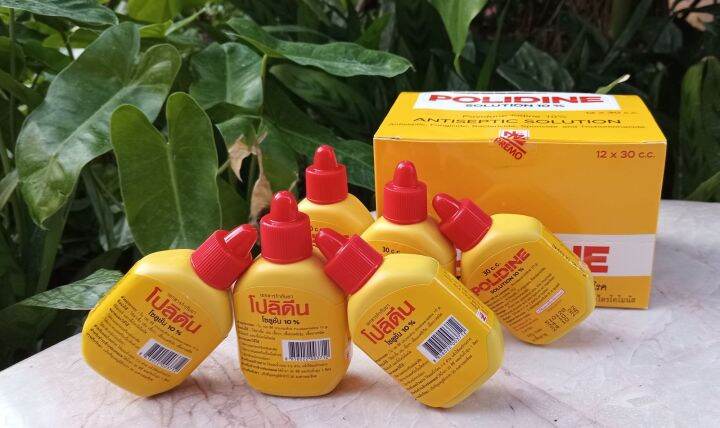 เบตาดีน ยี่ห้อ โปลิดีน Polidine 30 ml.แพ็คประหยัด 6 ขวดและ 12 ขวด สินค้าพร้อมส่ง | Lazada.co.th
