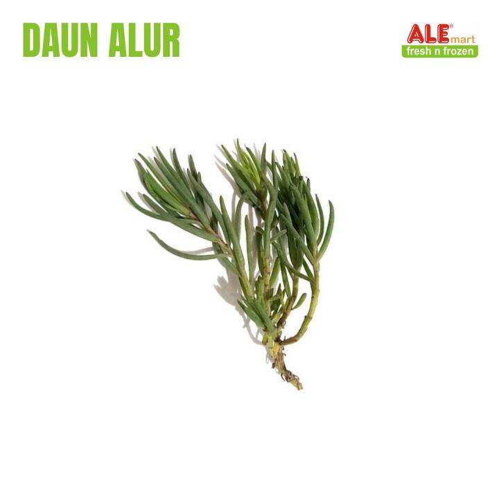 Sayur alur fresh, daun alur, sayuran alur segar | Lazada Indonesia