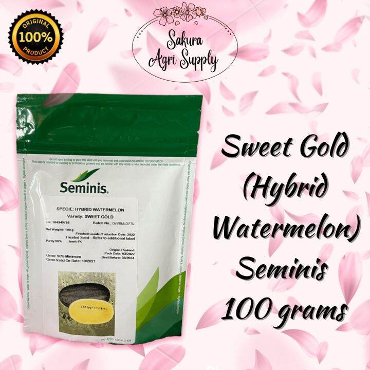 SEMINIS SWEETGOLD HYBRID WATERMELON / PAKWAN SEEDS 100g | Lazada PH