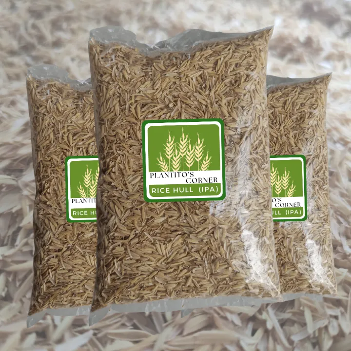RICE HULL / PURE RICE HULL/IPA NG PALAY/RICE HUSKS for Potted Plants ...