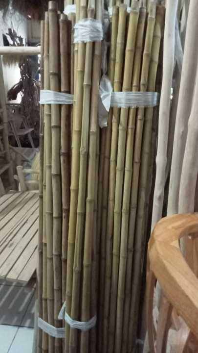 BAMBU POLOS 2 METER DIAMETER BESAR HARGA PERBATANG DEKORASI RUMAH ...