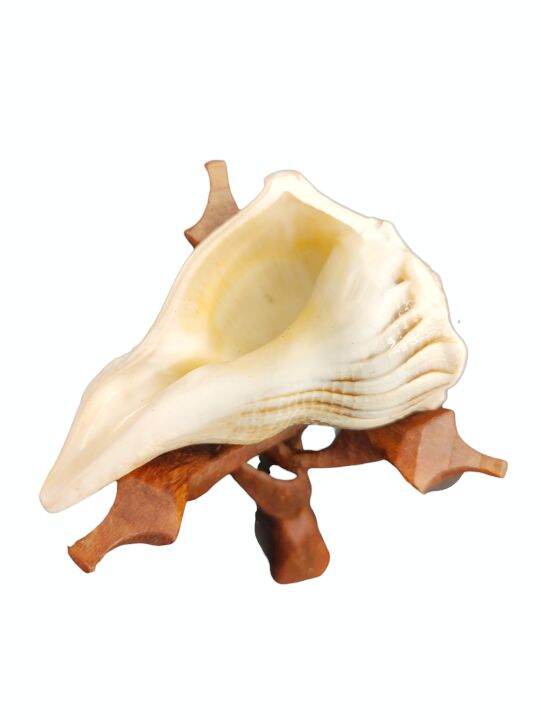 VALAMPURI SANGU WOODEN STAND / CONCH STAND | Lazada