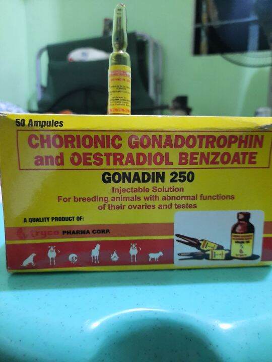 GONADIN 250 1Ampules | Lazada PH