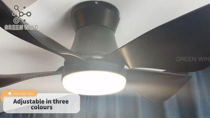GREEN WIND Ceiling Fan With Lights and Remote Modern 26 Inches Ceiling ...