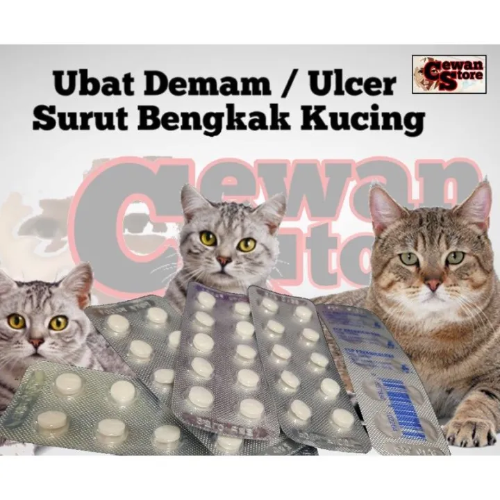 Demam, Ulcer ,Bengkak, Bisul dan Keradangan | Lazada