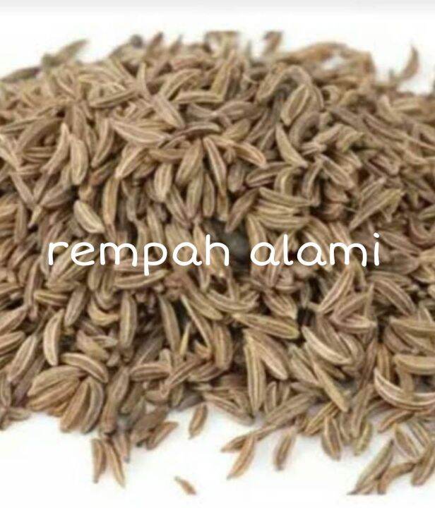jinten/jinten putih/adas masakan/cuminum cyminum 100gr | Lazada Indonesia