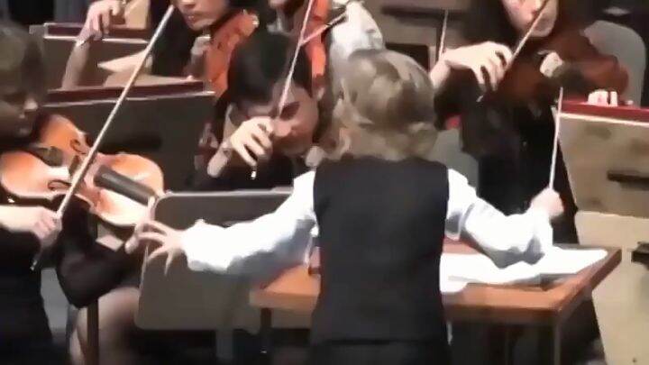 Conductor Baton 38cm Rosewood Handle Music Baton Orchestra Baton ...