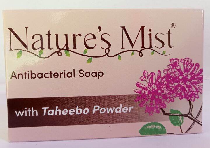 NATURE'S MIST ANTIBACTERIAL SOAP 135g | Lazada PH