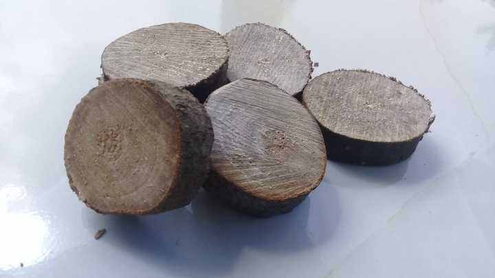 Kepingan kayu lemo anti ular dan herbal tebal 1 cm | Lazada Indonesia