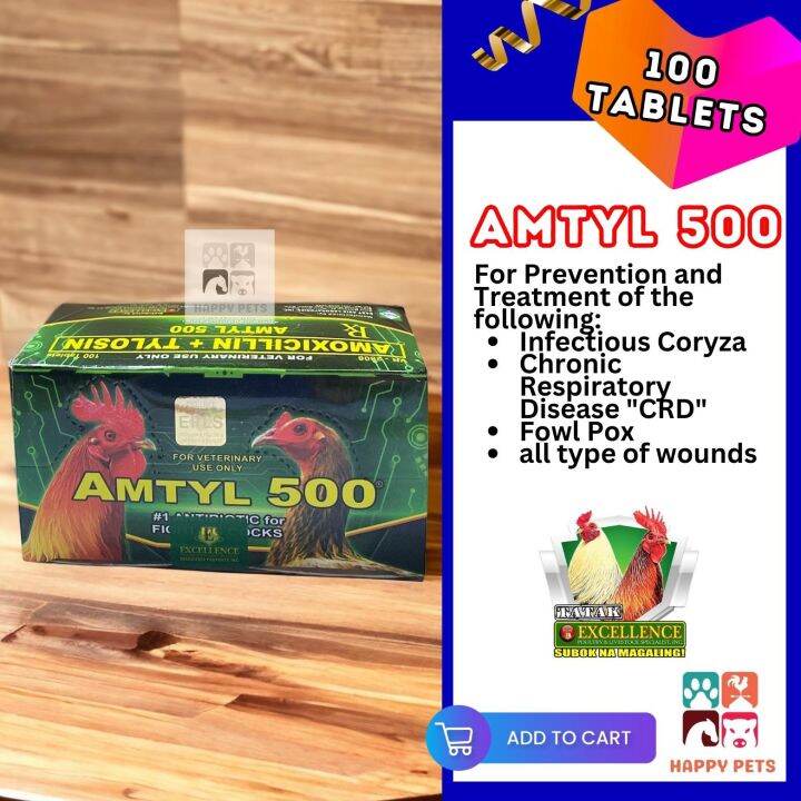 Amtyl 500 PER BOX 100 tablets | Lazada PH