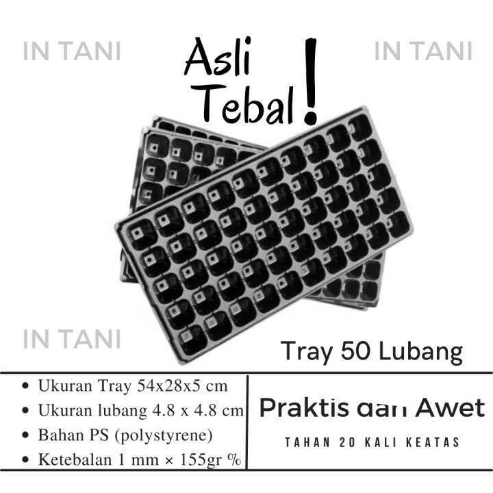 TRAY SEMAI 50 LUBANG TEBAL | Lazada Indonesia