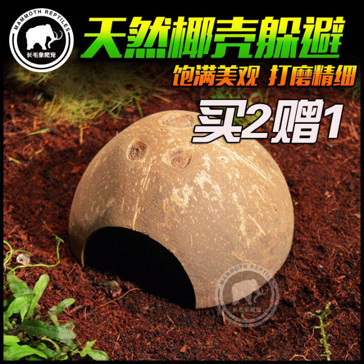 Special Offer Natural Coconut Shell Shelter Cave Hermit Crab Turtle ...