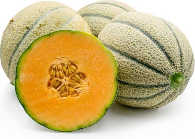 10 benih biji Melon King hidroponik | Lazada Indonesia