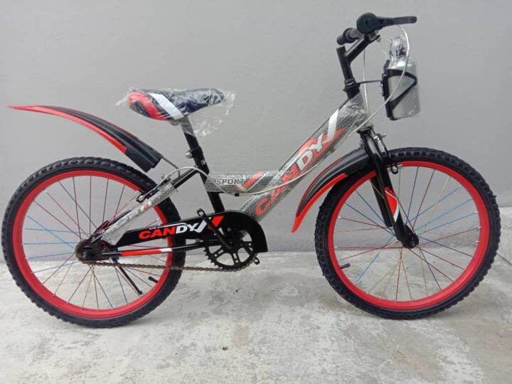 EKONOMI BASIKAL SAIZ 20 INCI SESUAI 6 TAHUN - 10 TAHUN | Lazada