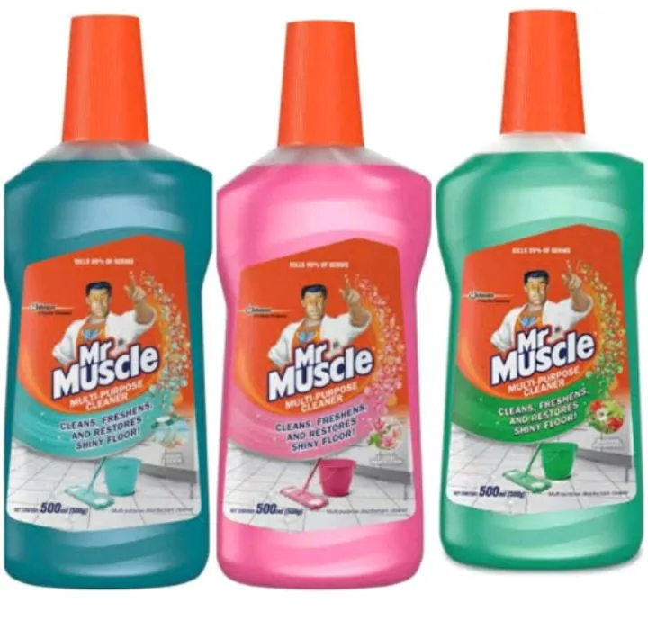 MR.MUSCLE ALL PURPOSE CLEANER FLORAL PERFECTION 500ML KILLS 99% OF ...